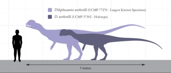 Dilophosaurus - The Complete Guide To The Dilophosaurus