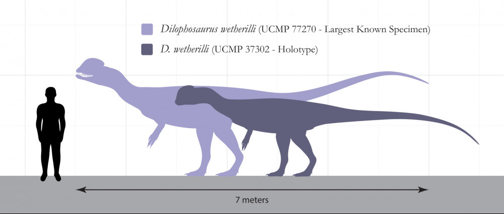 Dilophosaurus - The Complete Guide To The Dilophosaurus