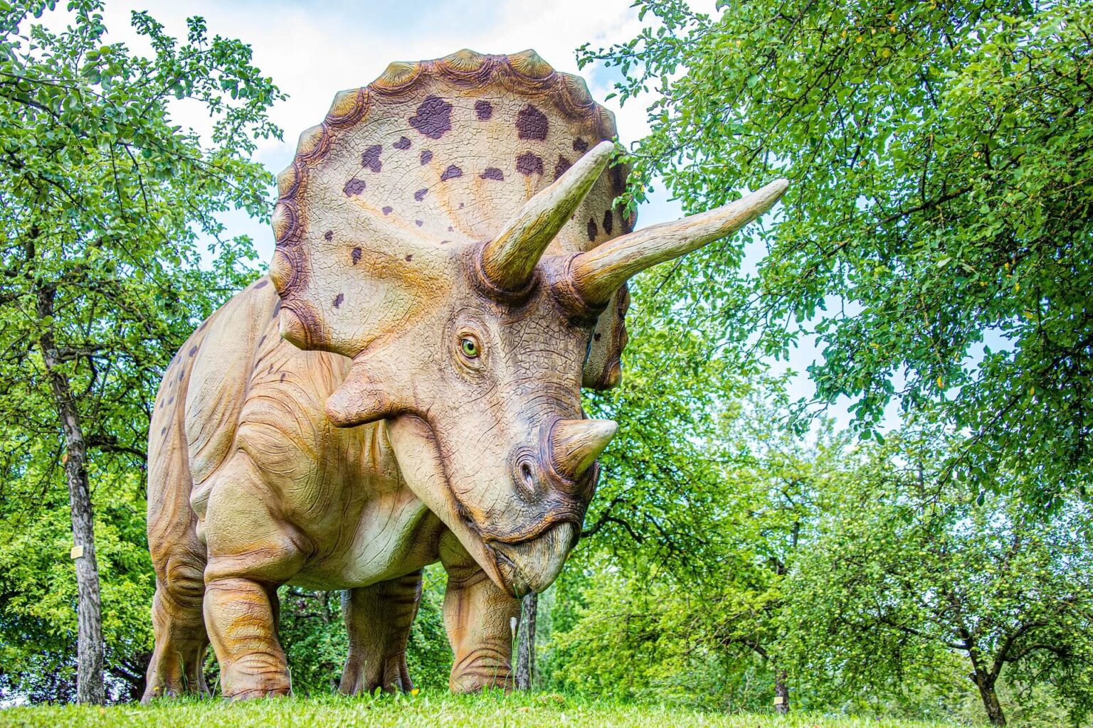 Triceratops - Description, Size, Fossils, Diet, Facts,