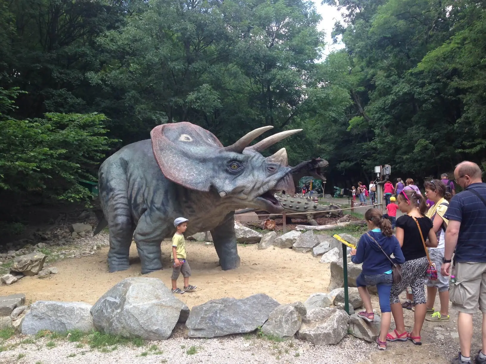 Triceratops - Description, Size, Fossils, Diet, Facts,