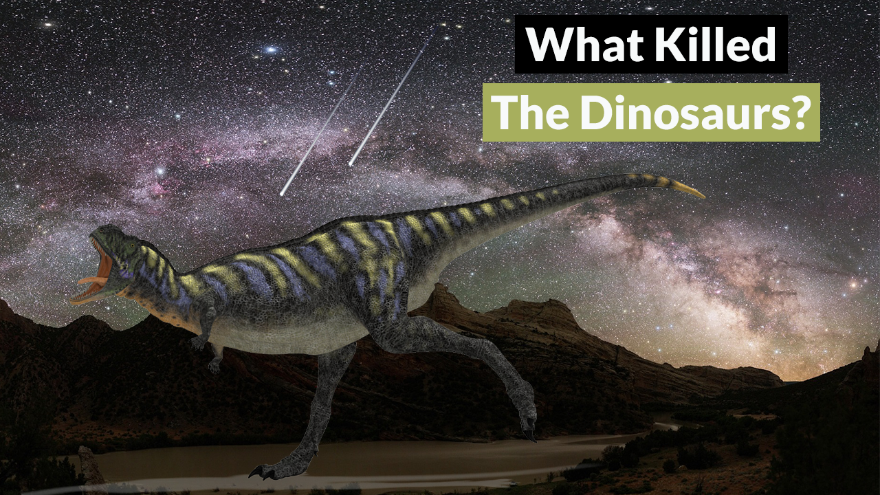 What Killed The Dinosaurs? - Dinosaur.org